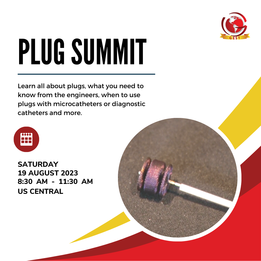 Virtual Plug Summit – GEST